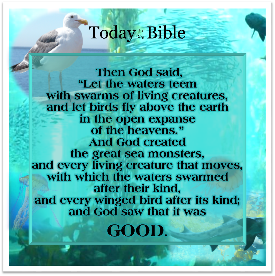 Elul 29 – Let the waters teem with living creatures and let birds fly ...