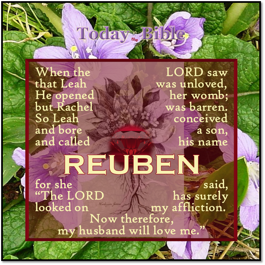 Kislev 14 – And she called his name Reuben… – Today in the Bible