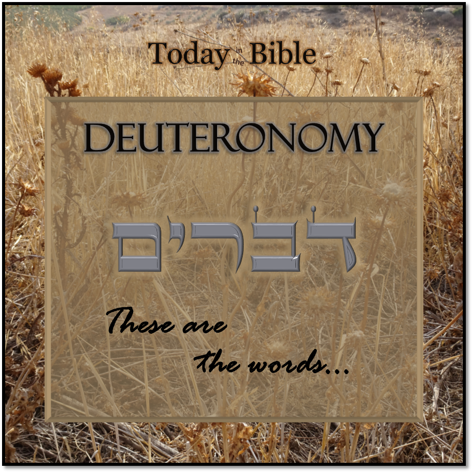 Adar I 5 – …by their word every controversy and every assault shall be ...