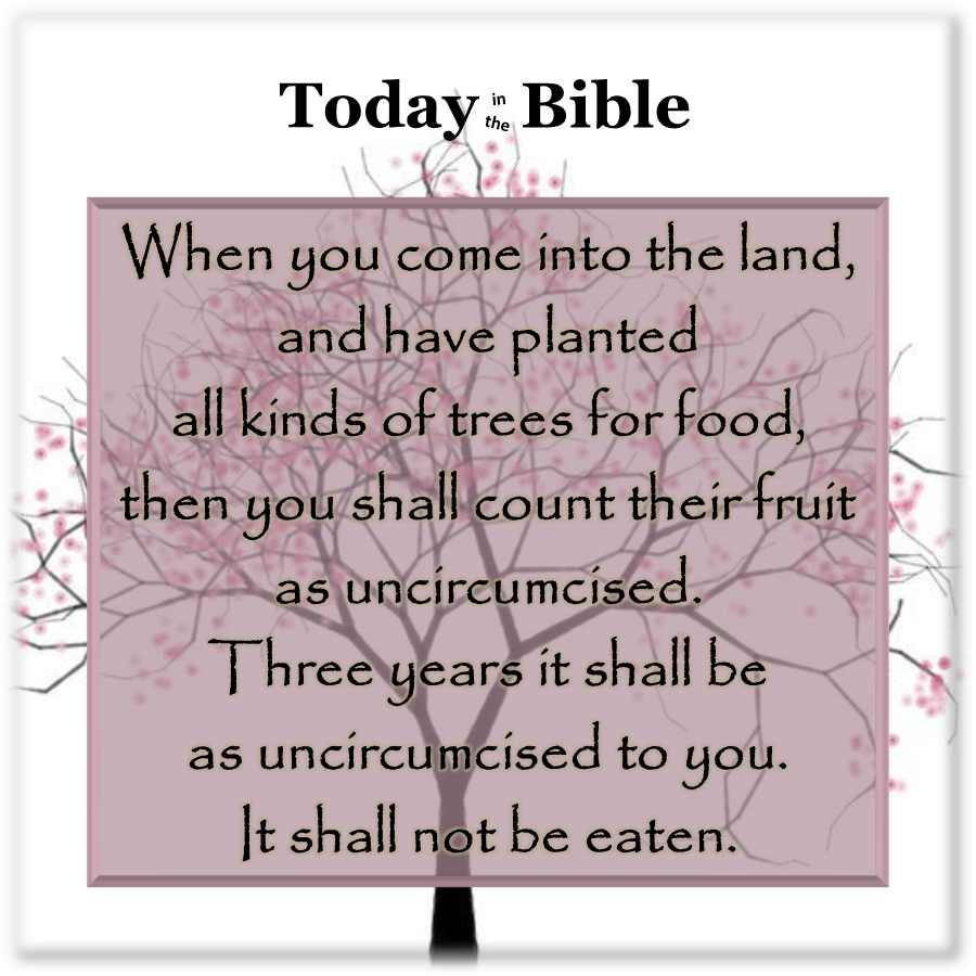 Shevt 15 – Tu B’Shevat… – Today in the Bible