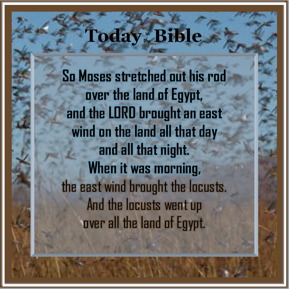 Shevat 21 – Locusts. Locusts. Locusts. – Today in the Bible
