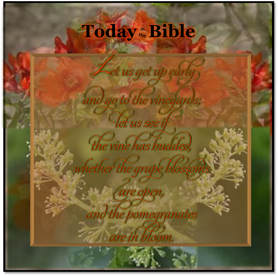 Iyyar 3 – Lechah Dodi – Today in the Bible