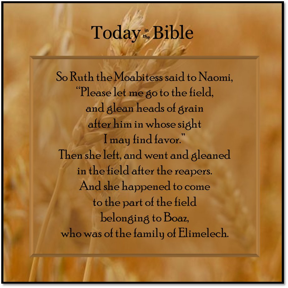 Iyyar 5 – Please let me glean heads of grain – Today in the Bible