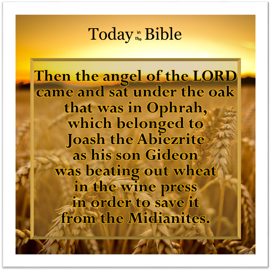 Sivan 11 – Then the angel of the LORD came and sat under the oak that ...