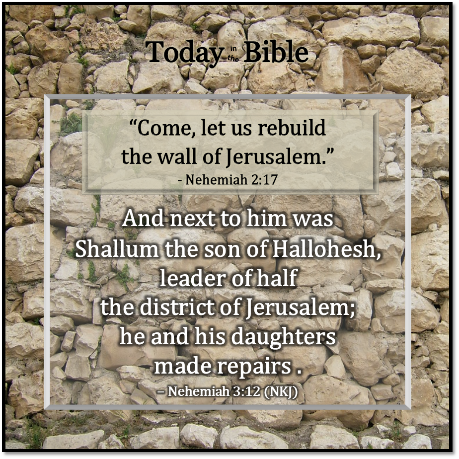 Av 19 – Shallum and his daughters – Today in the Bible