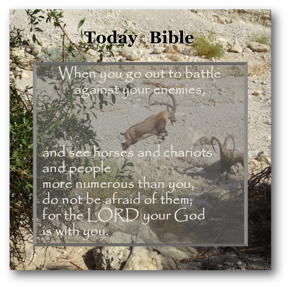 Shevat 21 – When you go out to battle against your enemies… – Today in ...