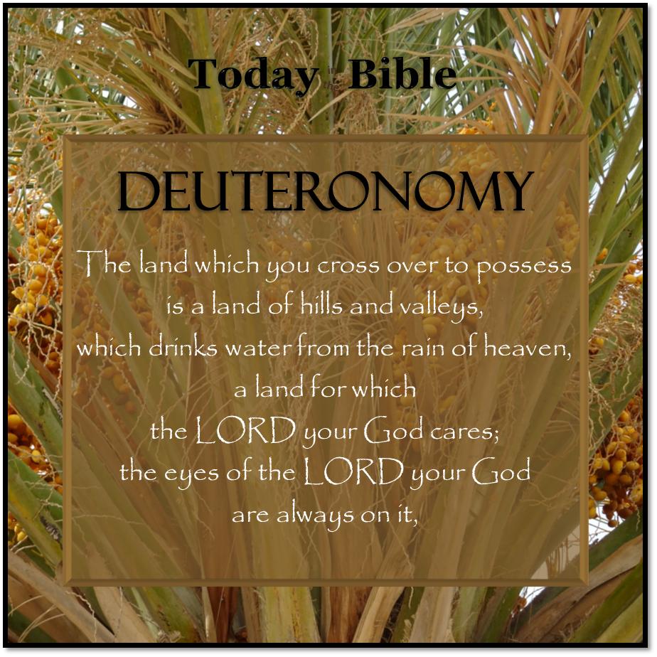 Shevat 12 – A land flowing with milk and honey… – Today in the Bible